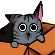 Streamloots | Ayukai_ | Support me with Streamloots.